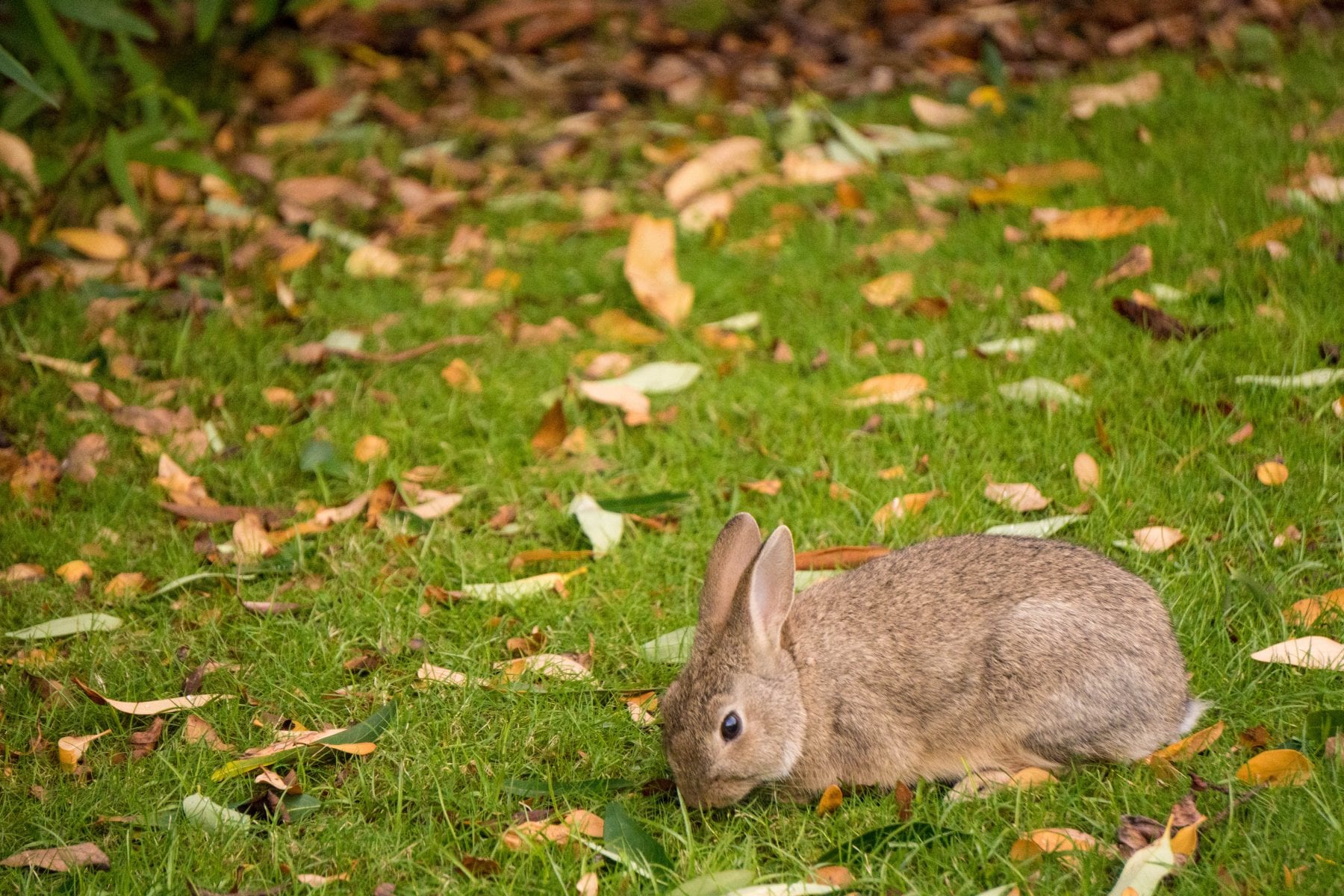 Explore Scotland's Coolest Graffiti Castle In The World