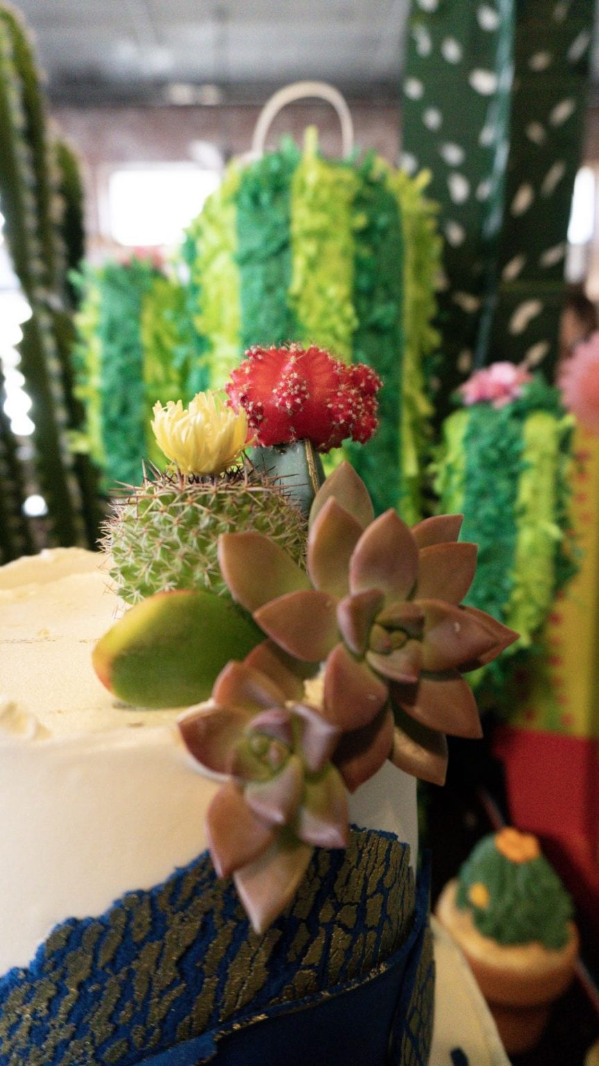 10 DIY Cactus Decor Theme Party Decoration Ideas